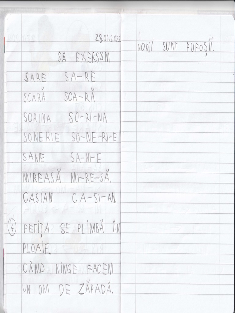 Caiet Dictando | PDF