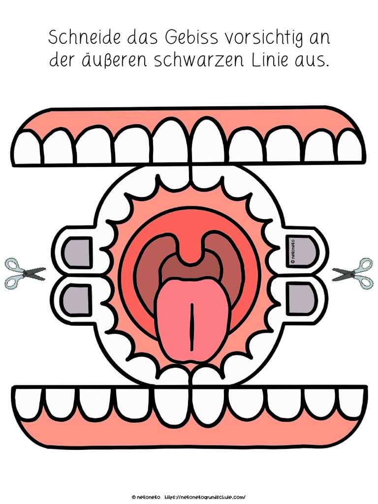 Gebiss Bastelvorlage | PDF