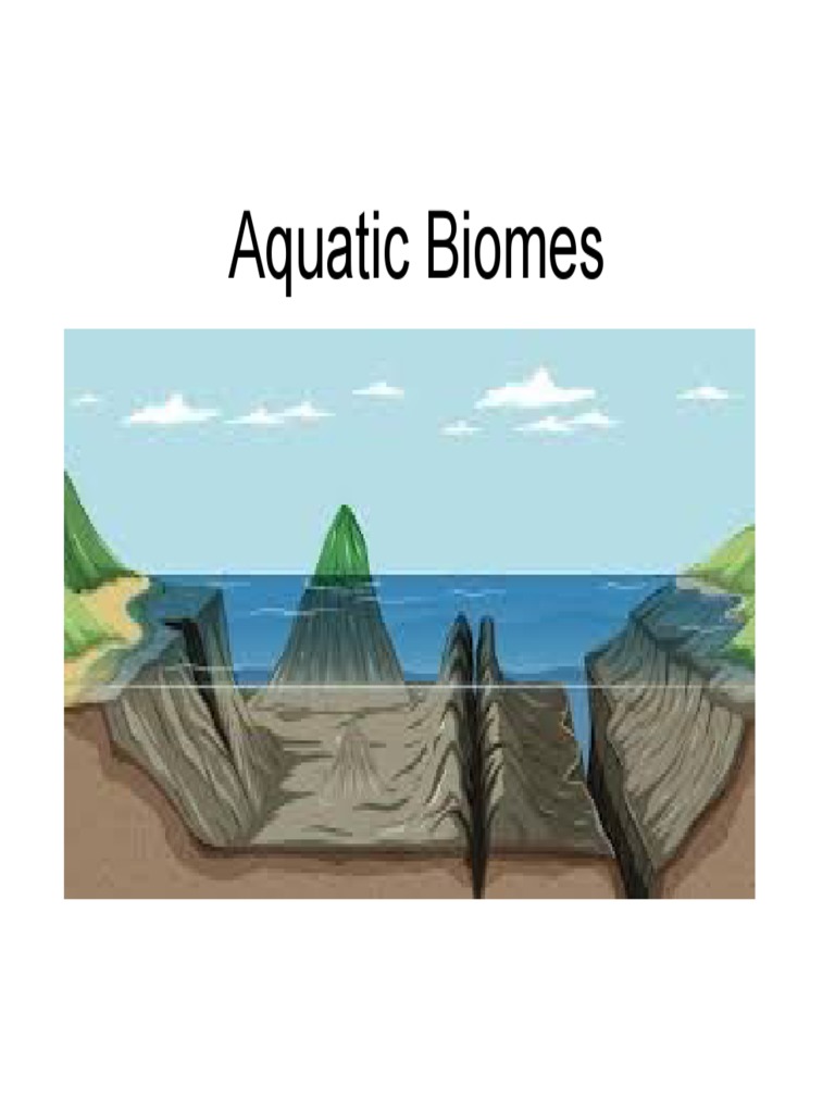Aquatic Biomes Slides | PDF