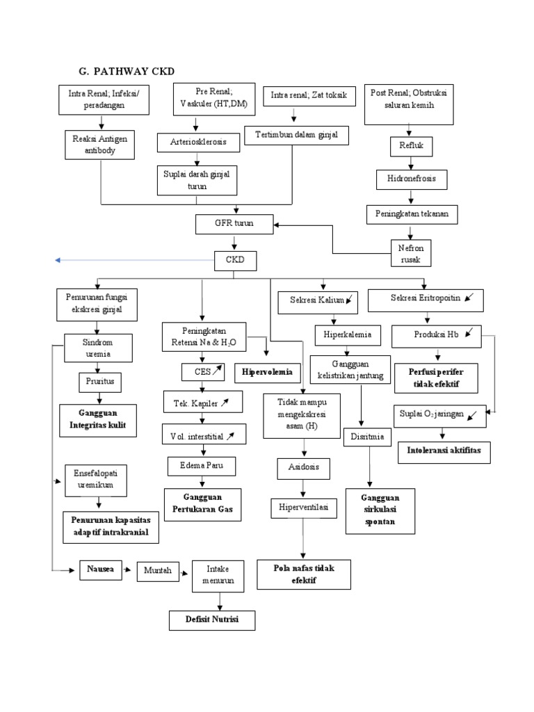 Pathway CKD Sdki | PDF