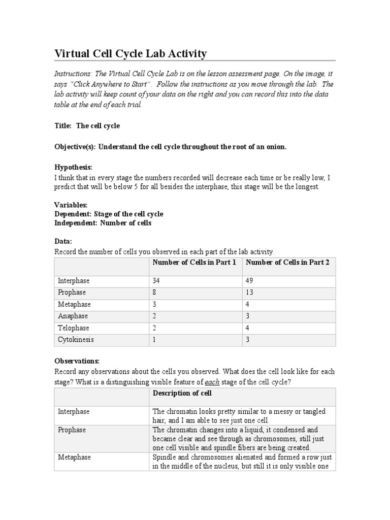 Virtual Cell Cycle Lab | PDF