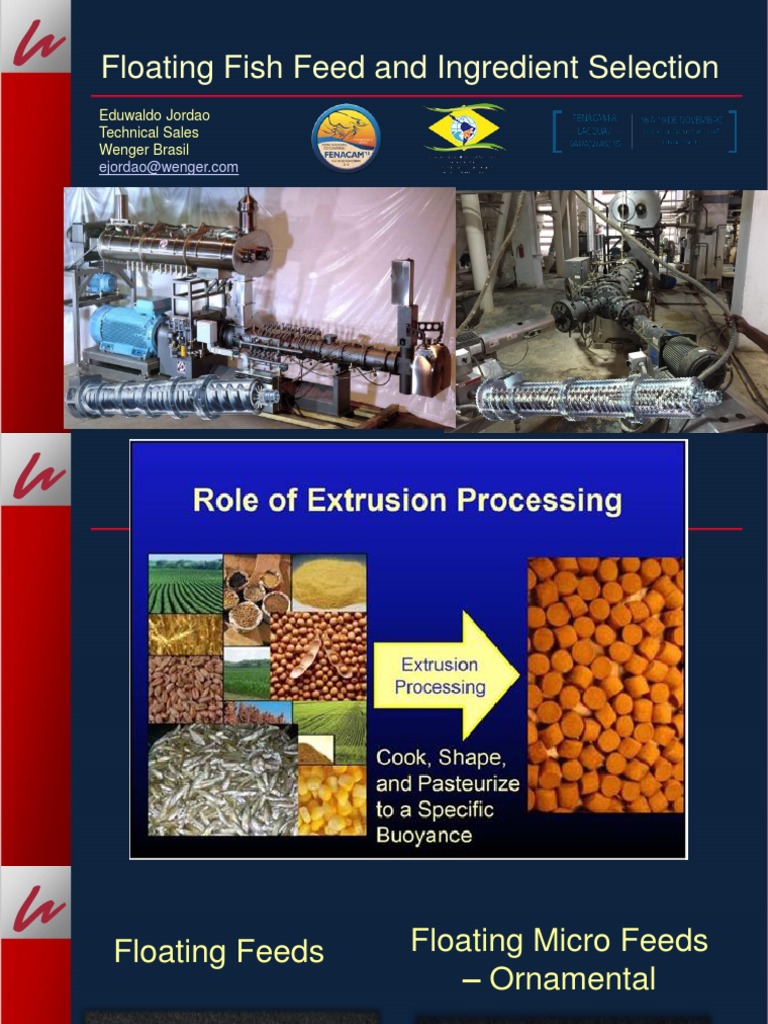 Eduwaldo Jordao Floating Fish Feed and Ingredient Selection | PDF ...
