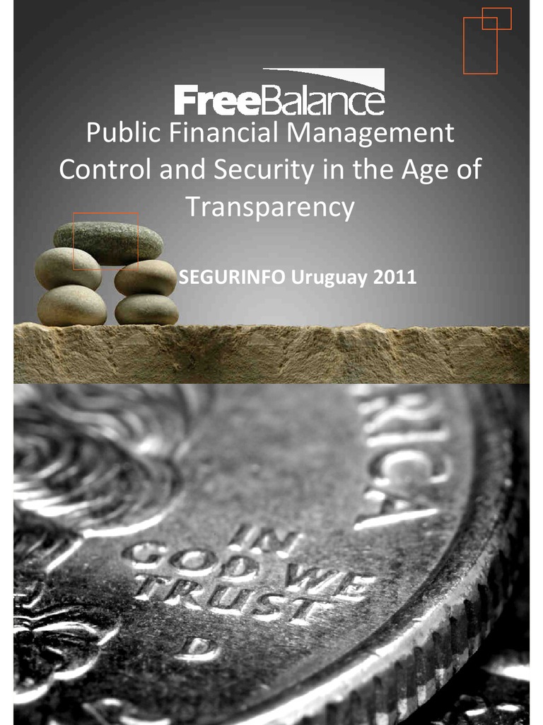 Public Financial Management Control and Security in The Age of ...