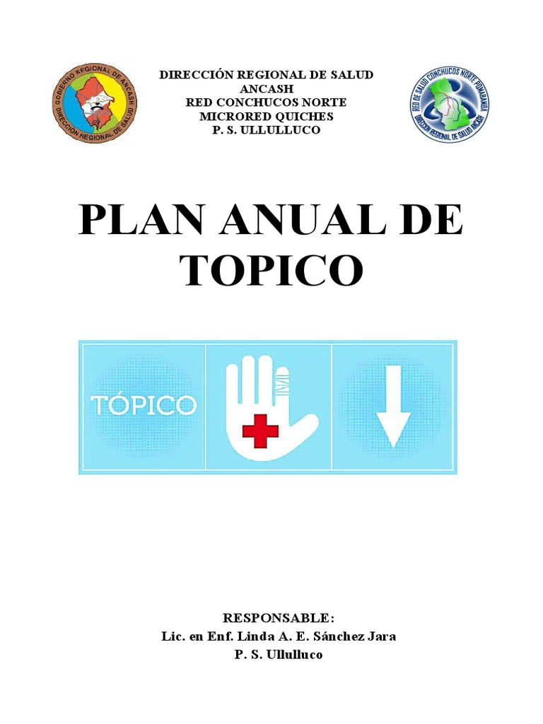 Plan Anual de Topico 2020 | PDF