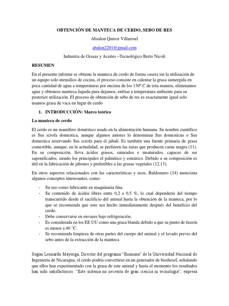 Practica Manteca de Cerdo, Sebo de Res | PDF