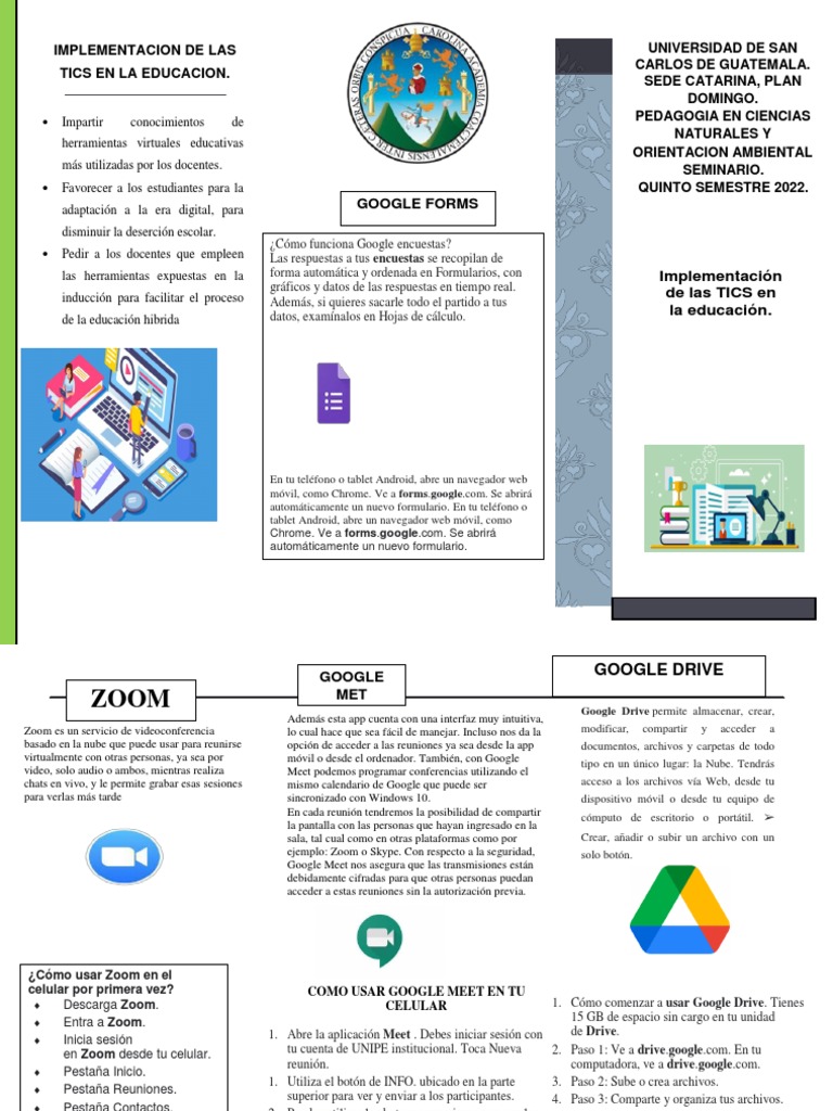 Trifoliar Implementacion de Las TICS | PDF