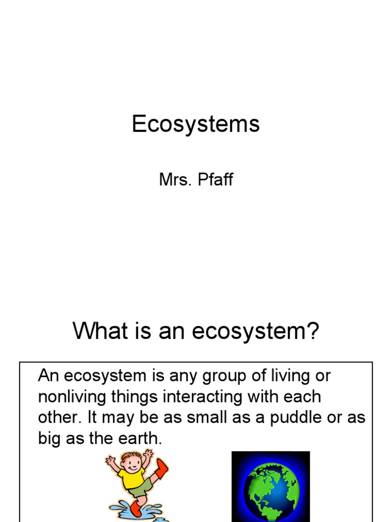 Understanding Ecosystems and Food Chains | PDF | Home & Garden | Poetry