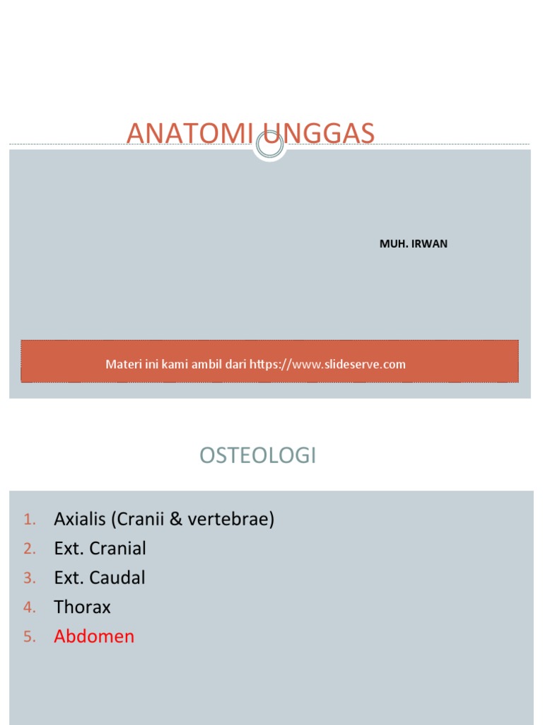 3 Anatomi Unggas | PDF | Sains & Matematika