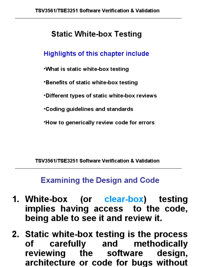 Lecture 5 - Static White Box Testing | PDF