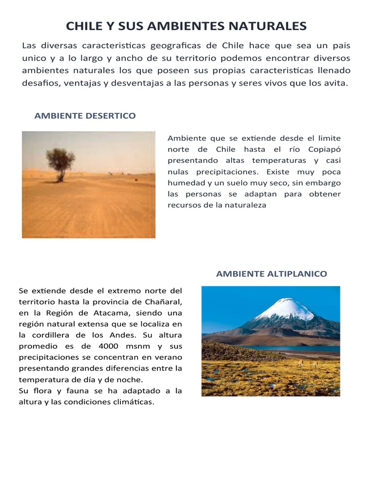 Chile y Sus Ambientes Naturales | PDF