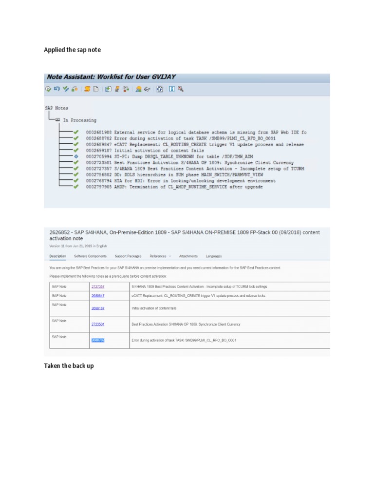 Applied The Sap Note | PDF