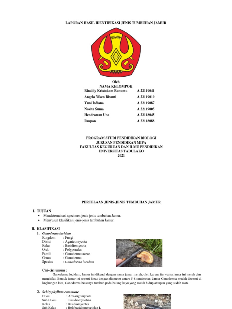 Laporan Hasil Identifikasi Jenis Tumbuhan Jamur | PDF