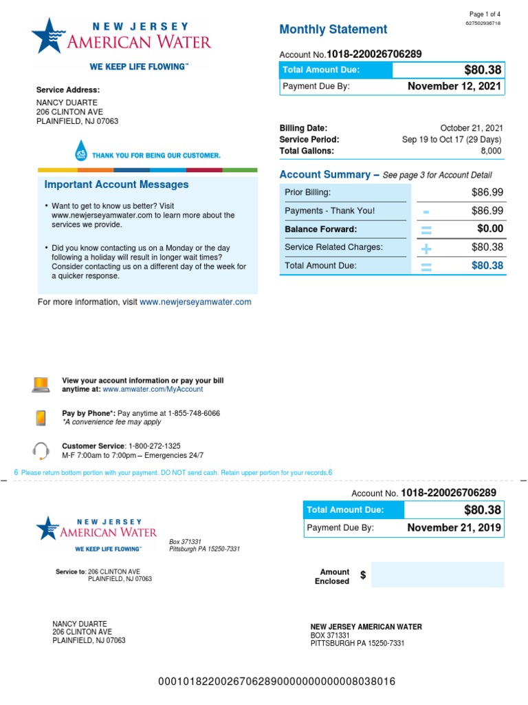 Important Account Messages Account Summary - : Monthly Statement | PDF ...