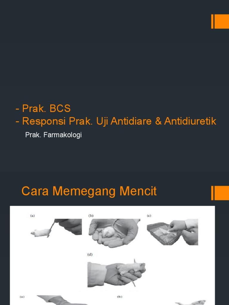 Prak 1 & Responsi Prak 3 | PDF