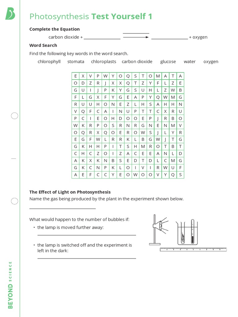 Photosynthesis Test Yourself 1 | PDF