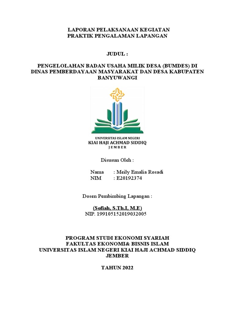 Lporan PPL Meily Emalia Rosadi | PDF