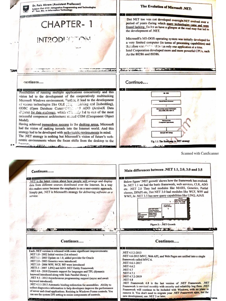 Integrative Prog. ch1 | PDF