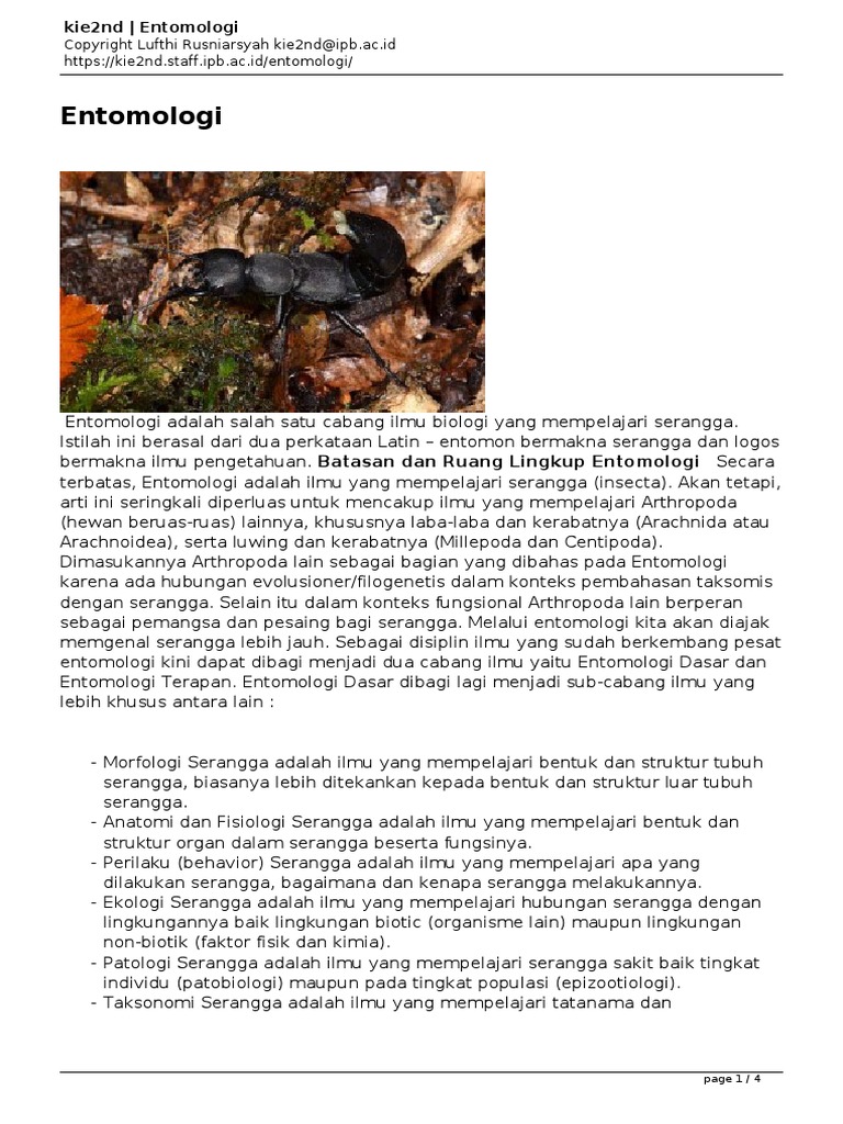 Kie2nd Entomologi | PDF