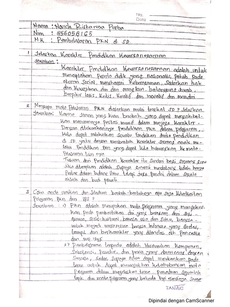 Tugas Tutorial 1 Pembelajaran PKN | PDF