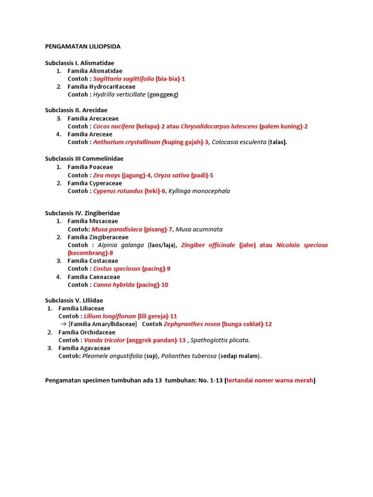 Keanekaragaman Tumbuhan Tinggi Liliopsida | PDF