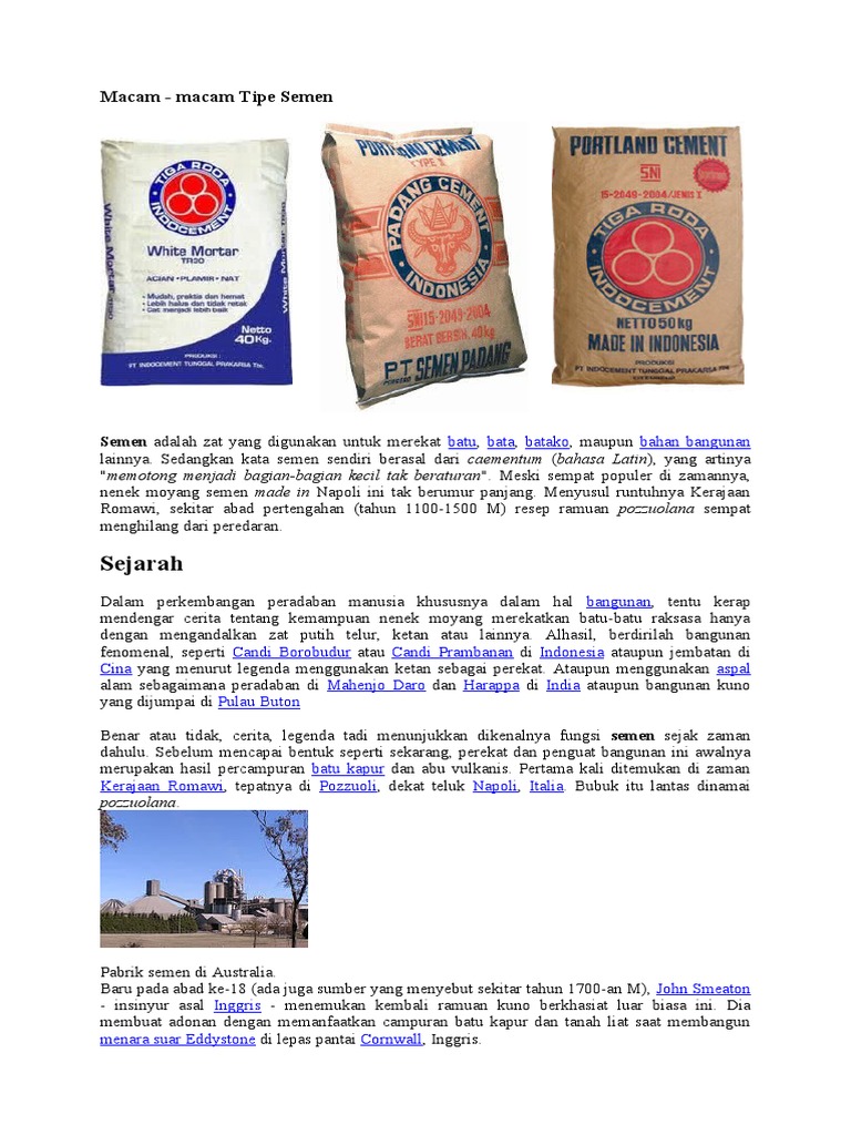 Macam2 Type Semen | PDF