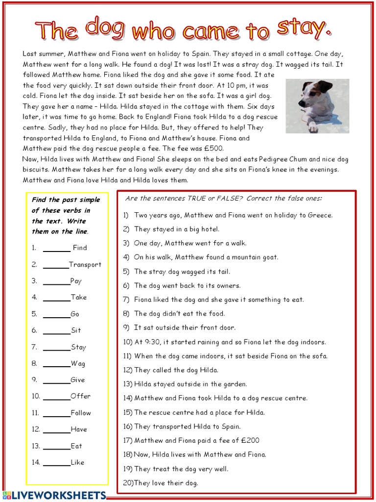 Reading Activity Past Simple | PDF | Syntax | Grammar