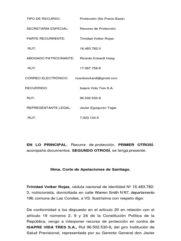 Modelo Rec Proteccion | PDF | Derecho Constitucional | Ley constitucional