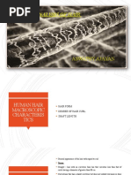 Hair Scale Patterns Lab Guide | PDF | Home & Garden