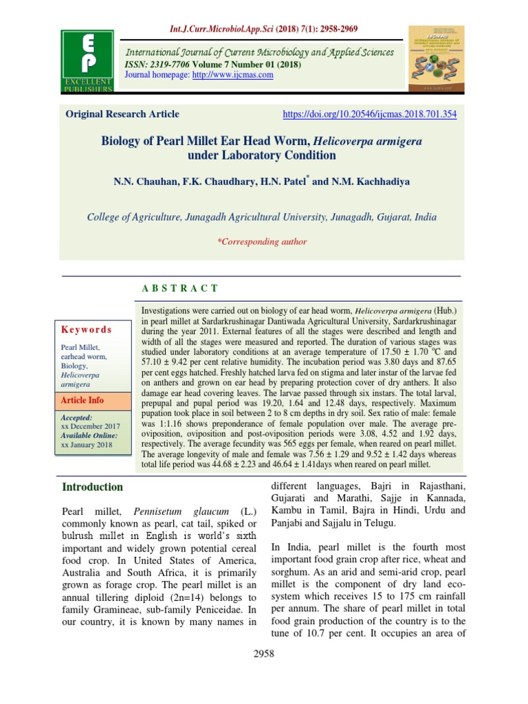 Biology of Pearl Millet Ear Head Worm | PDF | Pupa