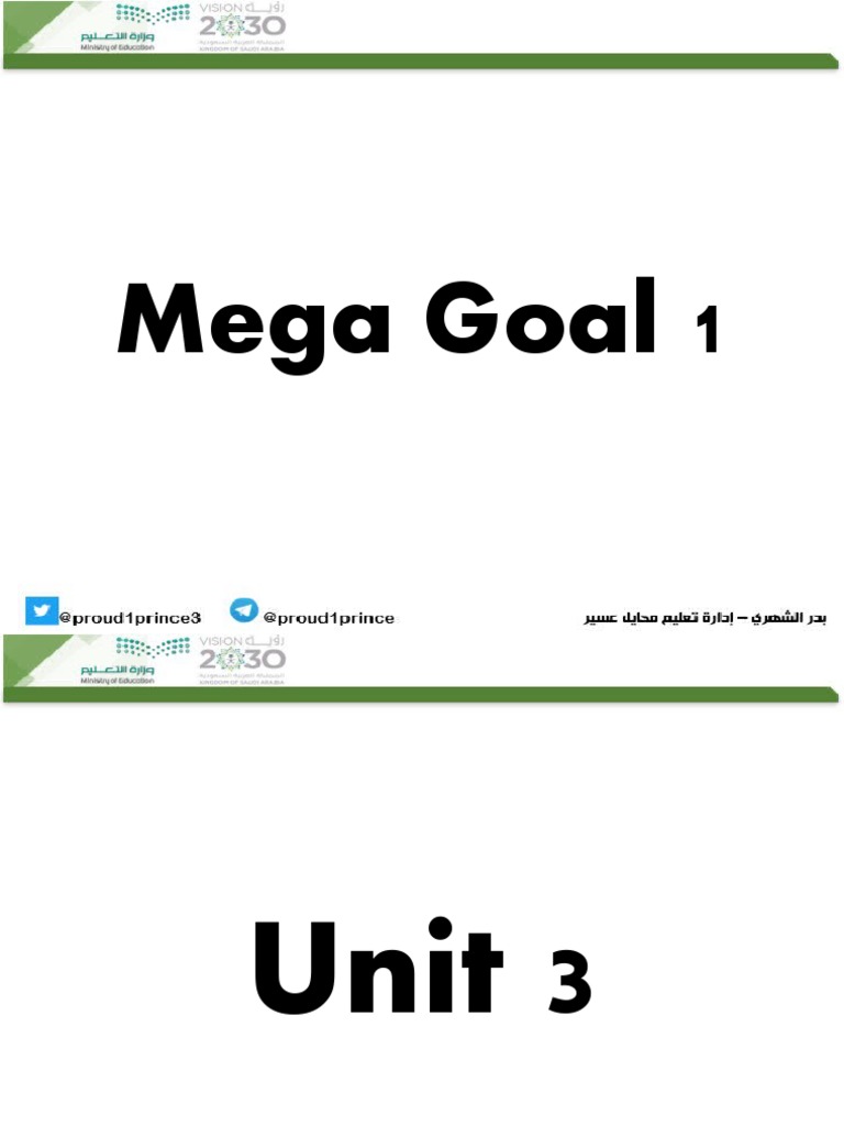 Mega Goal 1 | PDF