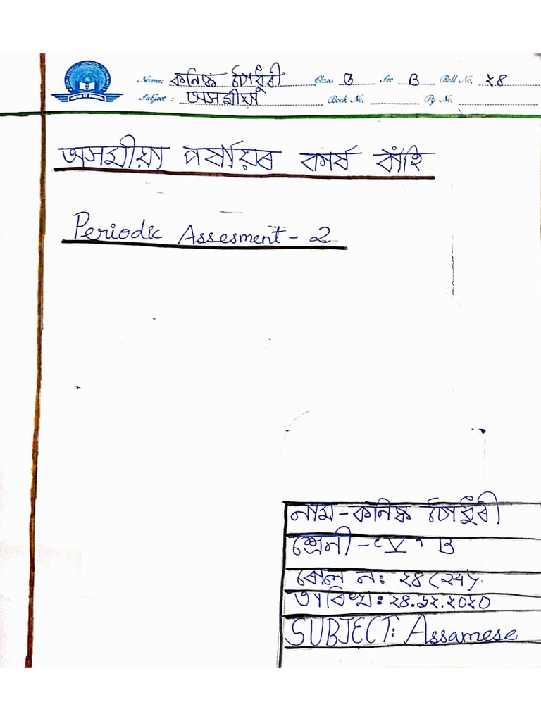 Assamese Project PA2 Activity Based | PDF