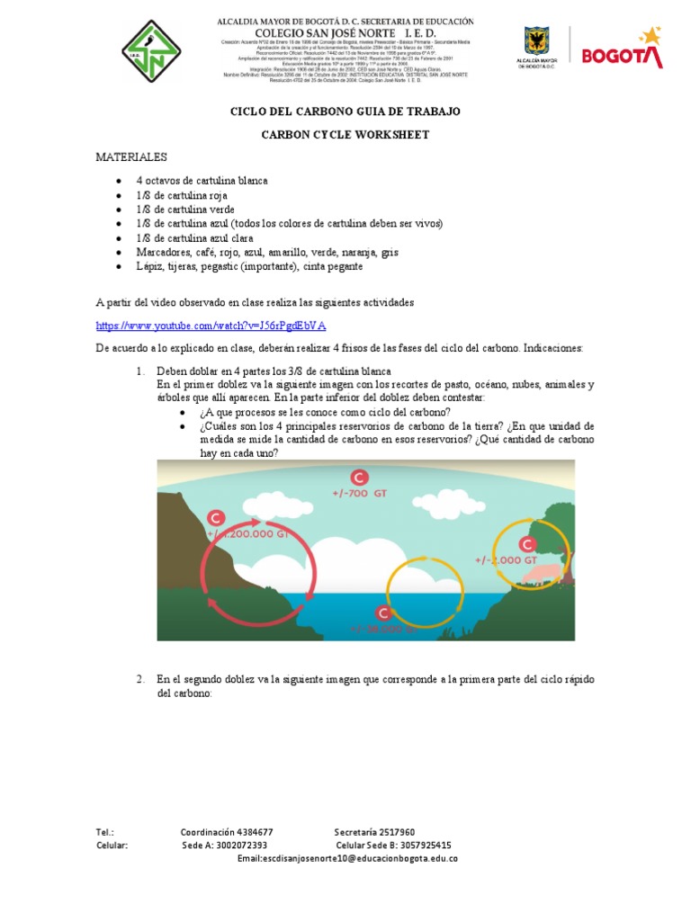 Carbon Cycle Worksheet | PDF