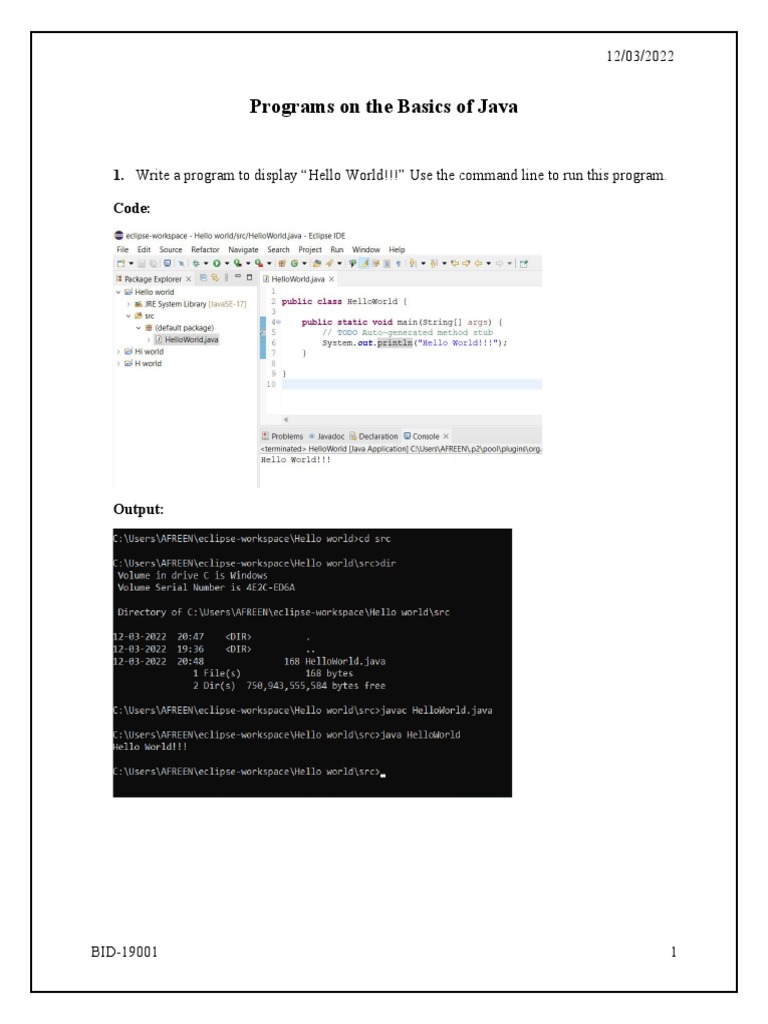 Assignment 2 - BID - 19001 | PDF | Data Type | Variable (Computer Science)