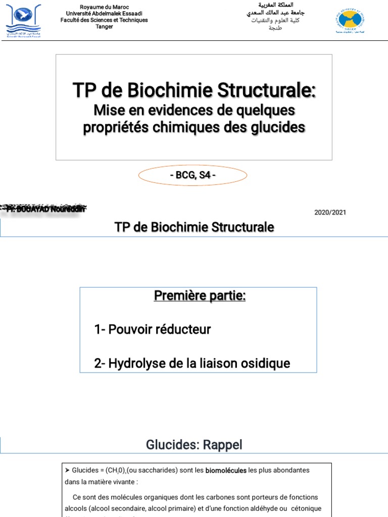 Animation TP Biochimie Structurale | PDF