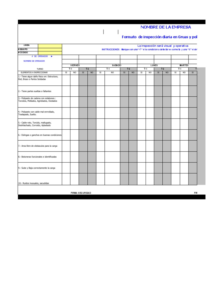 Formato de inspección diaria para grúas y polipastos | PDF Formato de inspección diaria para grúas y polipastos | PDF