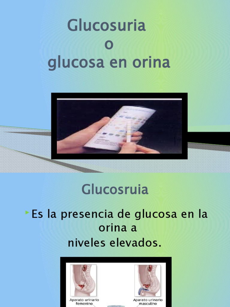 Glucosuria | PDF