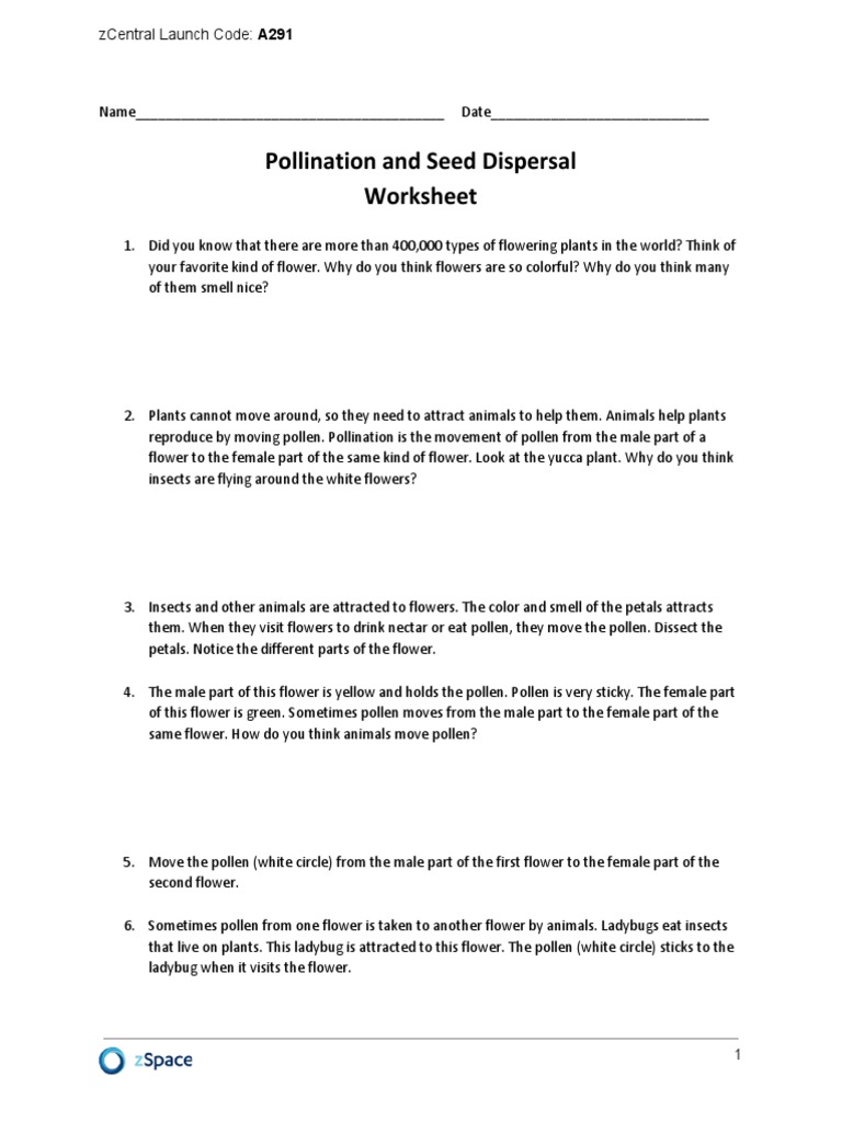 Pollination and Seed Dispersal Worksheet | PDF | Flowers | Pollinators