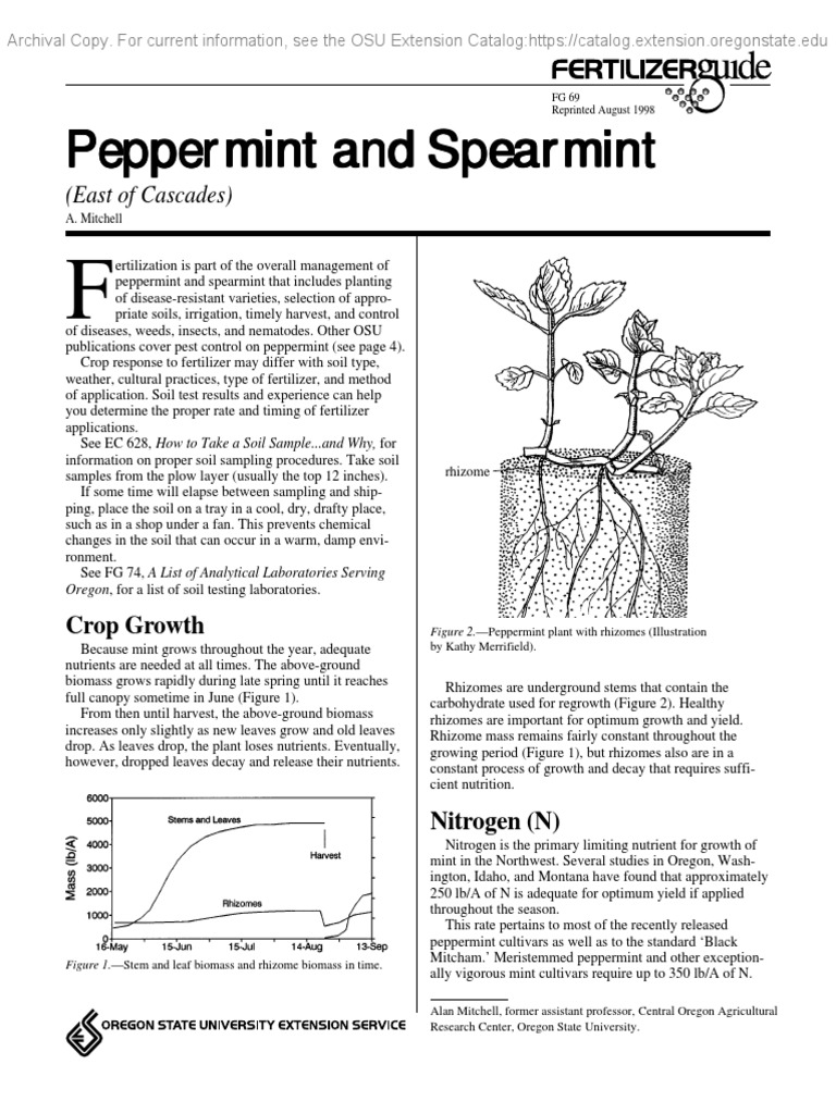 Peppermint and Spearmint | PDF | Fertilizer | Soil
