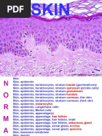 Superficial and Deep Perivascular Dermatitis | PDF | Epidermis | Dermatitis
