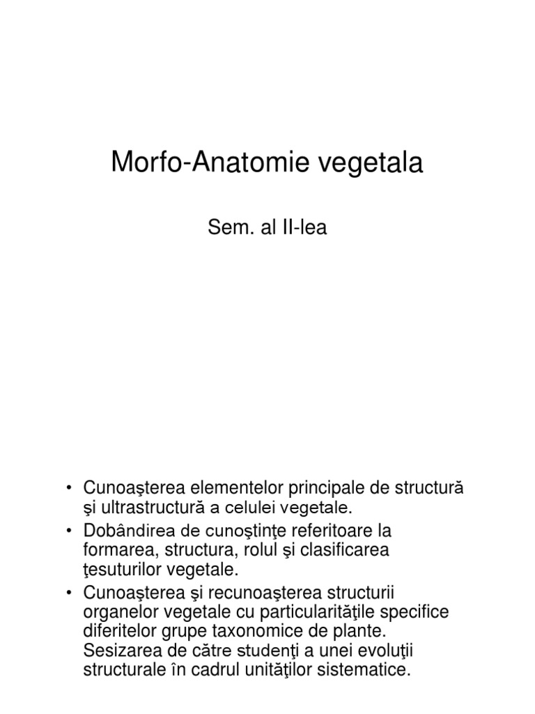 Morfo Anatomie | PDF