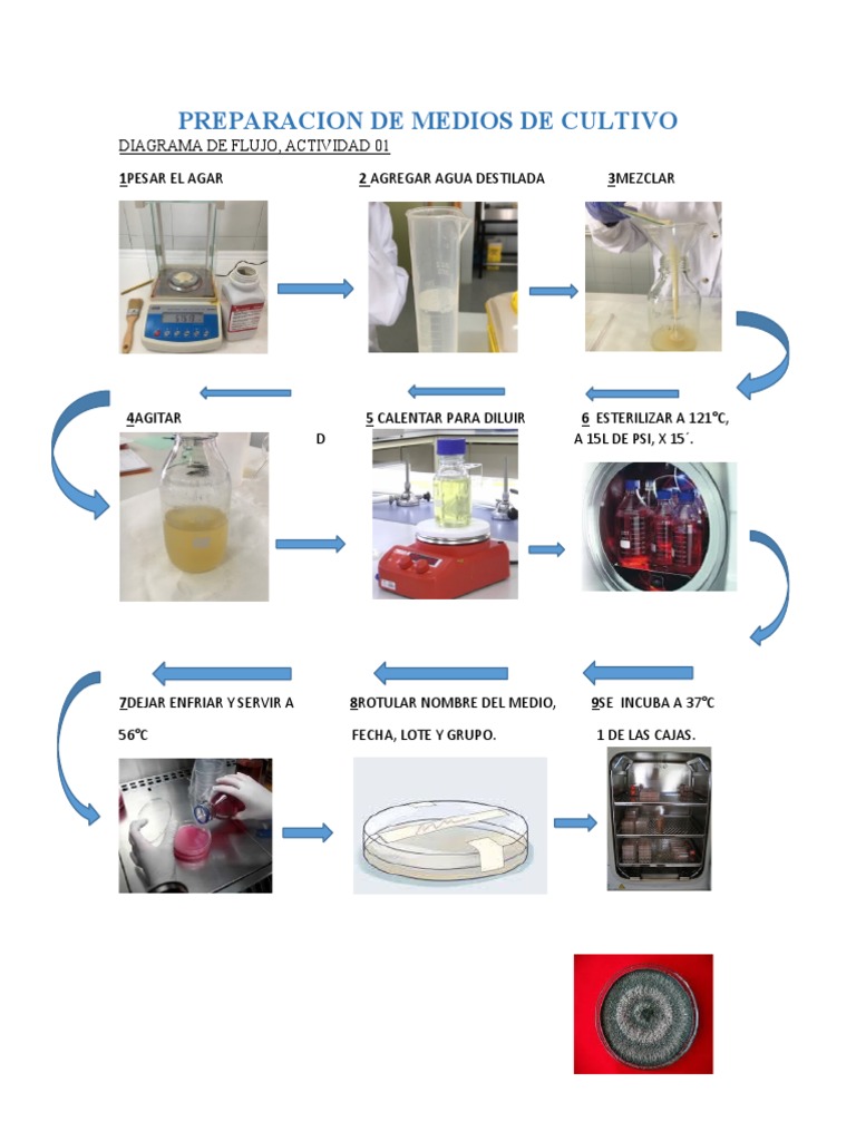 Preparacion de Medios de Cultivo | PDF