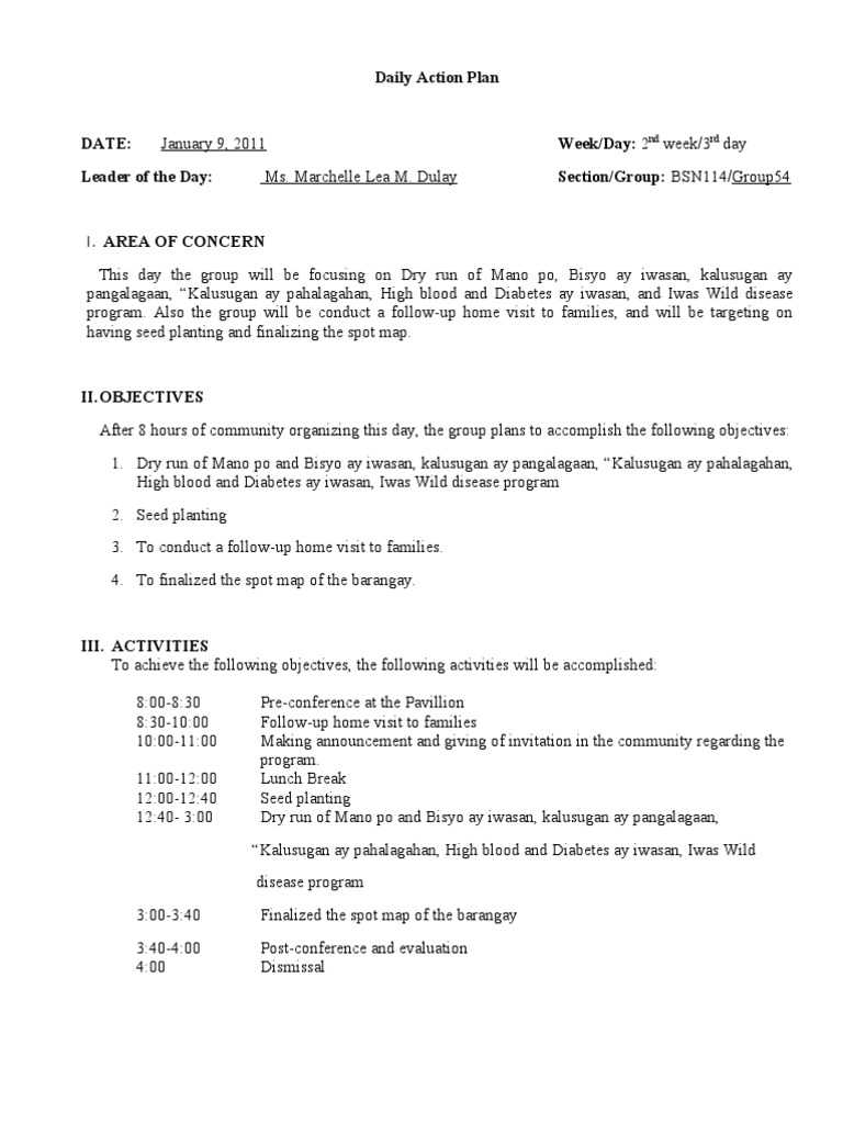 Daily Action Plan | PDF | Medicine | Health Sciences