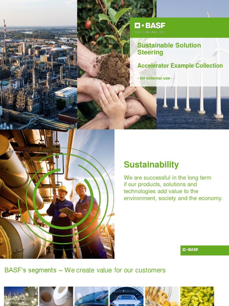 Accelerator Collection Examples | PDF | Sustainability | Exhaust Gas