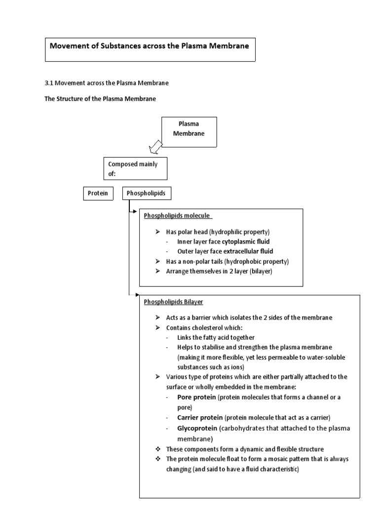 Chapter 3 Biology Form 4 Notes | PDF | Cell Membrane | Phospholipid