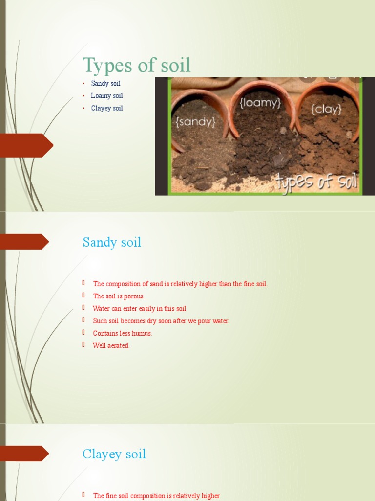 Types of Soil: Sandy Soil Loamy Soil Clayey Soil | PDF