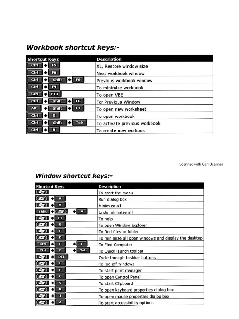 Excel Shortcuts | PDF