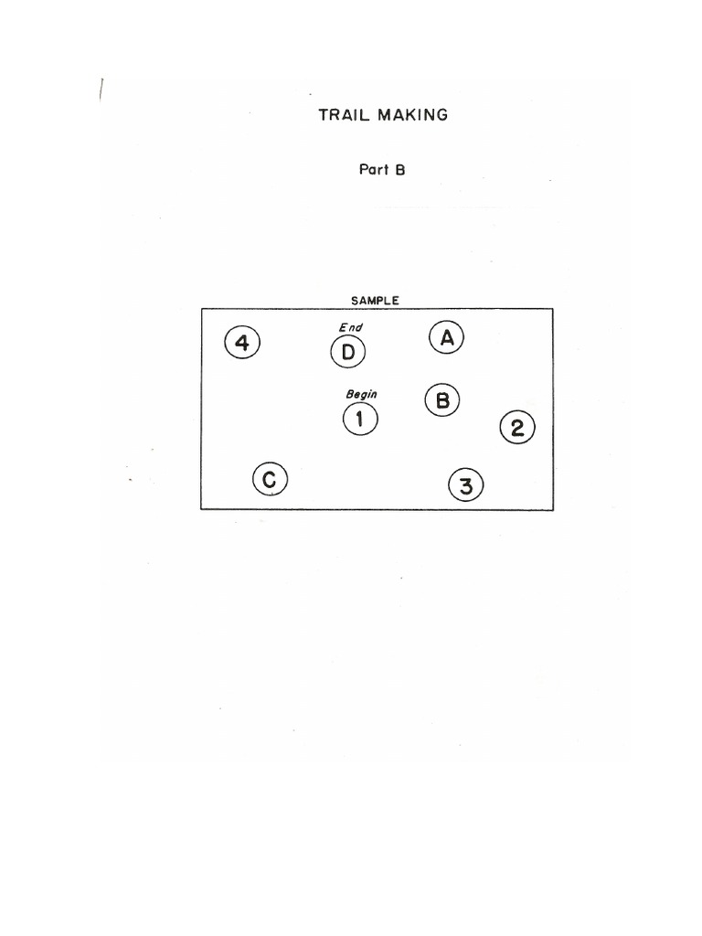 Trail Making B | PDF