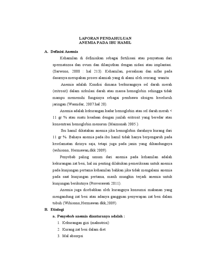 LP Anemia Pada Ibu Hamil | PDF