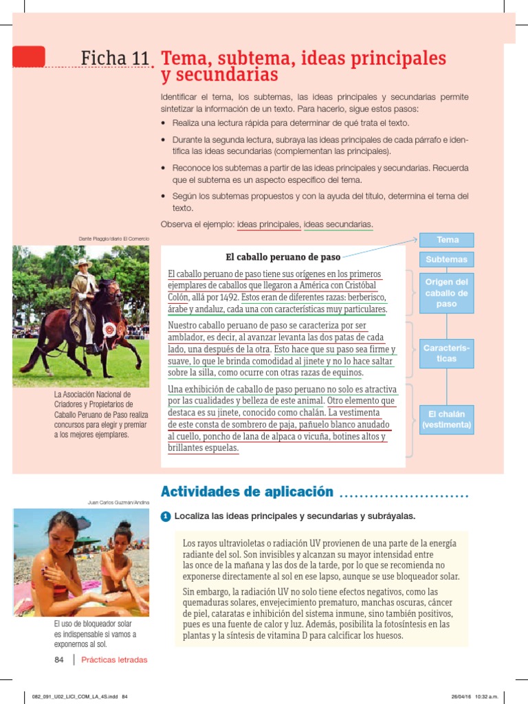 Tema y Subtema 4to | PDF