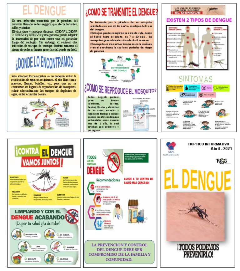 DENGUE (Triptico) | PDF
